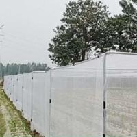 China HDPE Agriculture Insect Net 50 Mesh 4m Wide Tear Resistant Black Crop Protection Netting for sale