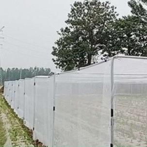 China HDPE Agriculture Insect Net 50 Mesh 4m Wide Tear Resistant Black Crop Protection Netting for sale