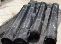 China HDPE Agriculture Insect Net 50-100m Length UV Protection Tear Resistant Farm Orchard Netting for sale