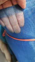 China Green Agricultural Insect Netting HDPE UV Resistant Anti Insect Mesh 100m Length for sale