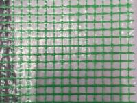 China PE Greenhouse Transparent Grid Tarpaulin 3x3 Mesh 150gsm Warm Keep Sheet for sale