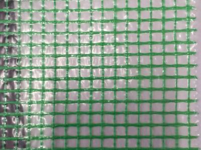 China PE Mesh Tarp Roll 0.5mm-2.0mm for Greenhouse Vegetable Flower Cover Transparent Grid Tarpaulin for sale