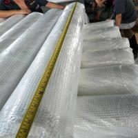 China PE Mesh Tarp Roll 0.5mm-2.0mm for Greenhouse Vegetable Flower Cover Transparent Grid Tarpaulin for sale