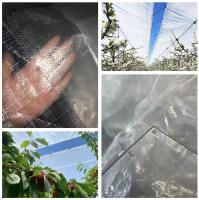 China Transparent Agricultural Polyethylene Tarp 150N/50mm Tear Strength 0.5-2.0mm Thickness Greenhouse Cover for sale