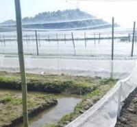 China HDPE UV Treated Insect Proof Agricultural Netting 60 Mesh 1m-4m Width for sale