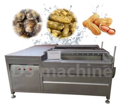 China Small industrial scallop seafood automatic cleaning machine/Automatic peanut desilting roller cleaning machine for sale
