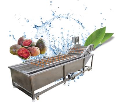 China prickly pear fruit cleaning machine/prickly pear line set machine prickly pear fruit for sale