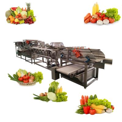 China Manufacturers Fully Automatic SUS304 Industrial Air Bubble soak washing machine vegetable leaf washing machine for sale