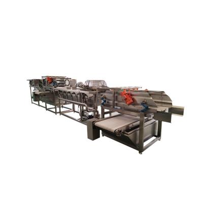 China Blueberry lifting conveyor cleaning machine with sorting device for sale