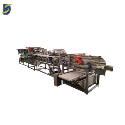 China lavadoras de fruta vegetable washers for cafeteria dinning hall etc for sale