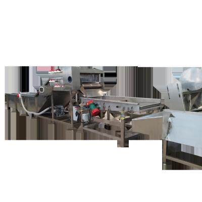 China continued Bubble Washing drying Machine for salad vegetable tomato for sale