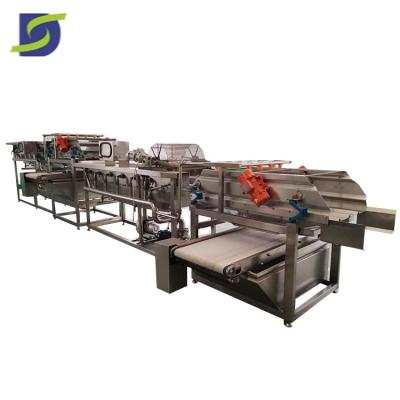China Efficient Industry Fruit Vegetable Processing Machine Washing And Peeling With Conveyor for sale