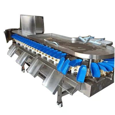 China China belt spray washing grading drying machine for potato tomato orange apple for sale