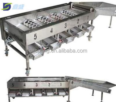 China Farm Passion Fruit Apple Orange Vegetable Sorting Machine 4600*1100*900mm for sale