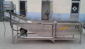 China Bubble Type Fruit Vegetable Processing Machine Leafy Vegetable Cleaning Equipment for sale