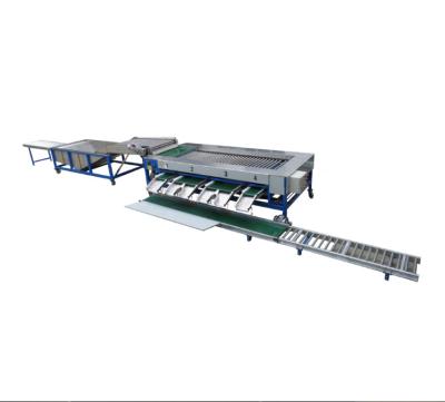 China Professional Automatic Fruit Vegetable Lifting Size Sorting Grading Machine for sale