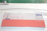 China 1878123160 Mahle Overhaul Kits for sale