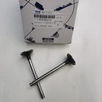 China 1125511390 Construction Machinery Engine Parts 1-87618344-0 Inlet Exhaust Valve for sale