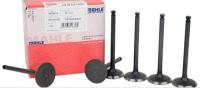China Intake Valve and Exhaust Valve for Mitsubishi 6D15t Me031557 Me031558 for sale