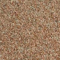 China High Output Ore Color Sorter With Intelligent Image Acquisition System for sale