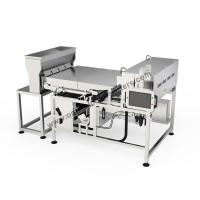 China Smart Belt Color Sorter Easy Operated For Food Processing Industry for sale