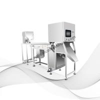 China Smart Belt Color Sorter Easy Operated For Food Processing Industry for sale