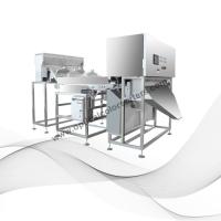 China Smart Belt Color Sorter Easy Operated For Food Processing Industry for sale