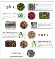 China Cost Efficiency Coffee Bean Color Sorter , Intelligent Mini Color Sorter for sale