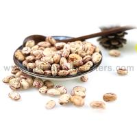China Optical Speckled Kidney 99.99% Bean Color Sorter for sale