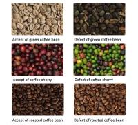 China 120L/Min 500kg/H Coffee Bean Optical Rice Color Sorter for sale