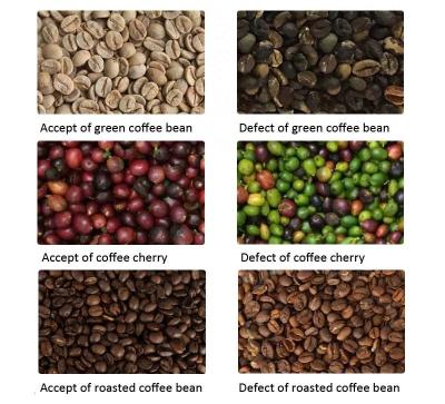 China 120L/Min 500kg/H Coffee Bean Optical Rice Color Sorter for sale