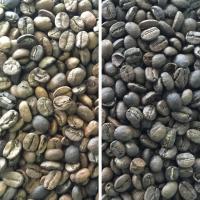 China Six Chutes Coffee Bean Color Sorter Intelligent CCD Bean Color Sorter Machine for sale