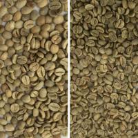 China Six Chutes Coffee Bean Color Sorter Intelligent CCD Bean Color Sorter Machine for sale