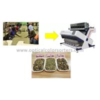 China 64 Channels Arabica And Robusta Coffee Beans Color Sorter for sale