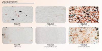 China Sea Salt Processing Stainless Steel 5T/H Optical Color Sorter for sale