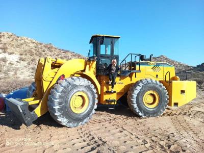 China BEM998-42T Mighty quarry Loader With 42000kg Capacity and 3200mm Lifting Height for sale