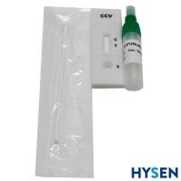 China Accurate and Affordable CCV Canine Test Kit for Veterinary Diagnosis Feces Specimen for sale