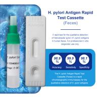 China Highly Sensitive and Accurate H.pylori Ab Antibody Rapid Test Cassette For Health Test for sale