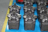 China FG0 Series Internal Gear Pump FG04 FG08 FG10 FG13 FG16 FG20 FG25 for sale