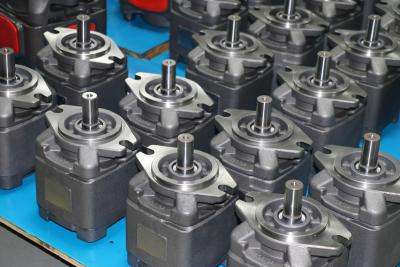 China FG0 Series Internal Gear Pump FG04 FG08 FG10 FG13 FG16 FG20 FG25 for sale