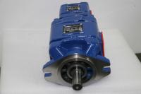 China FG1Series Doule Internal Gear Pump FG1-25-01R-VPC FG1-50-01R-VSC For Plastic Machine for sale