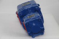 China FG1Series Doule Internal Gear Pump FG1-25-01R-VPC FG1-50-01R-VSC For Plastic Machine for sale