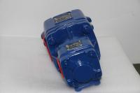 China FG1Series Doule Internal Gear Pump FG1-25-01R-VPC FG1-50-01R-VSC For Plastic Machine for sale