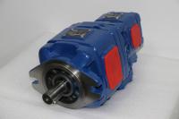China FG1Series Doule Internal Gear Pump FG1-25-01R-VPC FG1-50-01R-VSC For Plastic Machine for sale