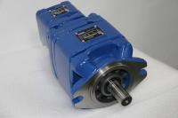 China FG1Series Doule Internal Gear Pump FG1-25-01R-VPC FG1-50-01R-VSC For Plastic Machine for sale