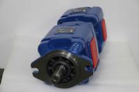 China FG22 Series Doule Internal Gear Pump For Plastic Machine FG22-160-※-01R-VPC-D for sale