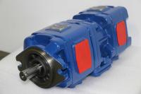 China FG22 Series Doule Internal Gear Pump 3000r/min For Plastic Machine FG22-100-※-01R-VSC-D for sale