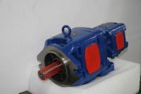 China FG22 Series Doule Internal Gear Pump For Plastic Machine FG22-160-※-01R-VPC-D for sale