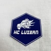 China Custom TPU Heat Transfer Label Featuring 3D Soft Raised Effects Eco Friendly Material Suitable for Clothing Logo Hats Bags for sale