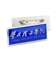China School Memorial Brooch Souvenir Pin Badges For Jackets Badges Accessories Gifts for sale